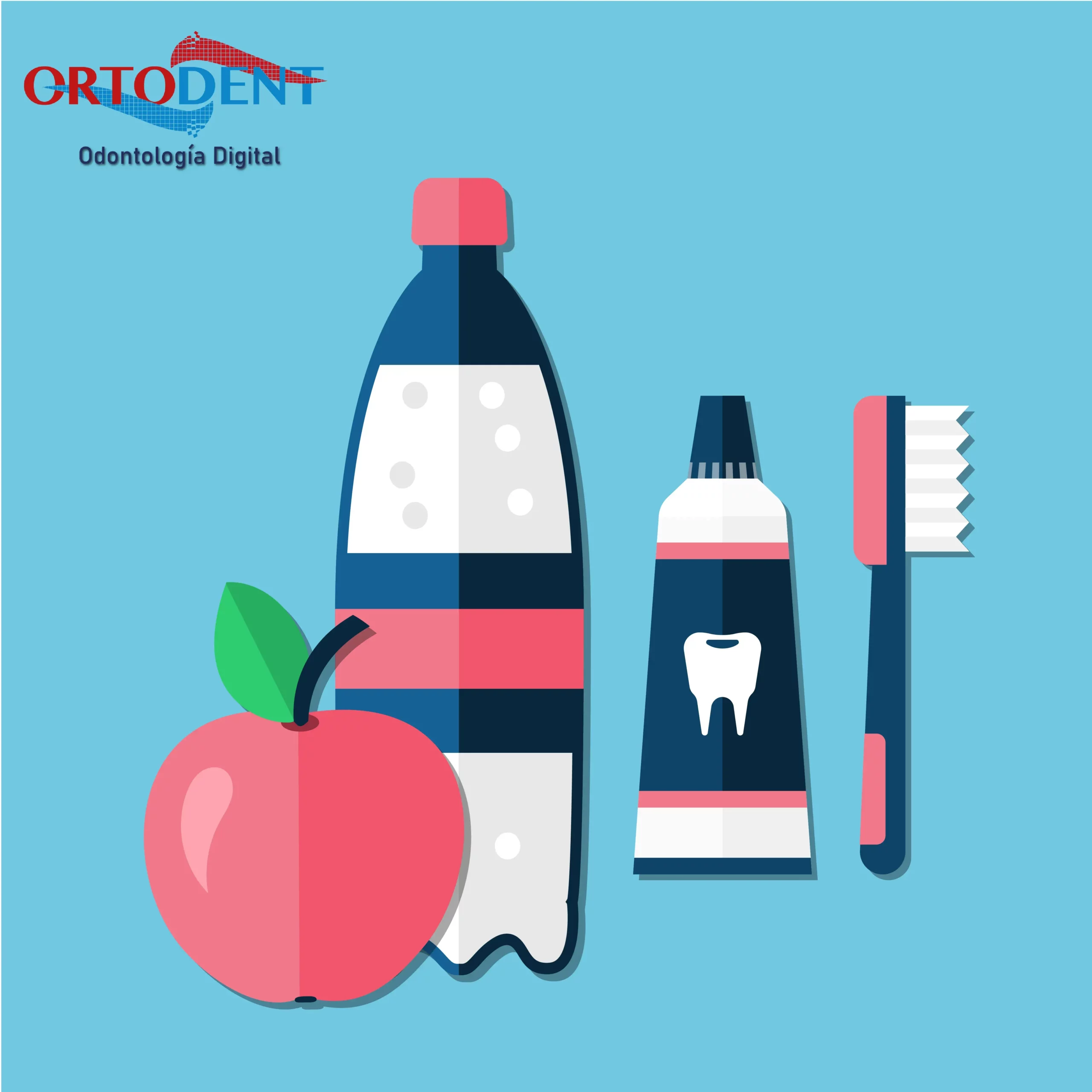 Descubre todo sobre el conducto de canal radicular